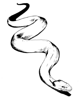 Constrictor snake | Forgotten Realms Wiki | Fandom