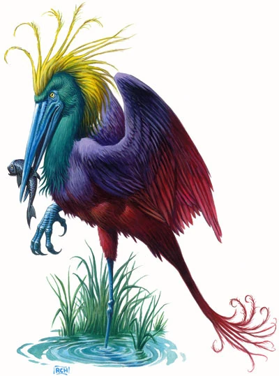 Wilora | Forgotten Realms Wiki | Fandom