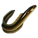 Eel | Forgotten Realms Wiki | Fandom