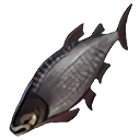 Nelma | Forgotten Realms Wiki | Fandom