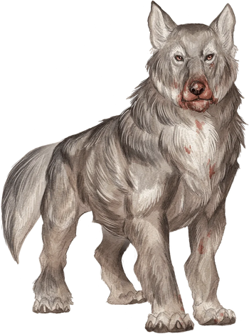 Wolf | Forgotten Realms Wiki | Fandom