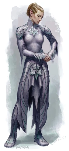 Elven chainmail | Forgotten Realms Wiki | Fandom