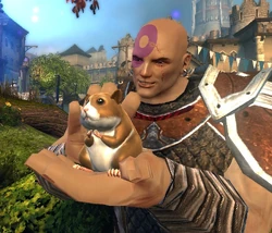 Boo | Forgotten Realms Wiki | Fandom