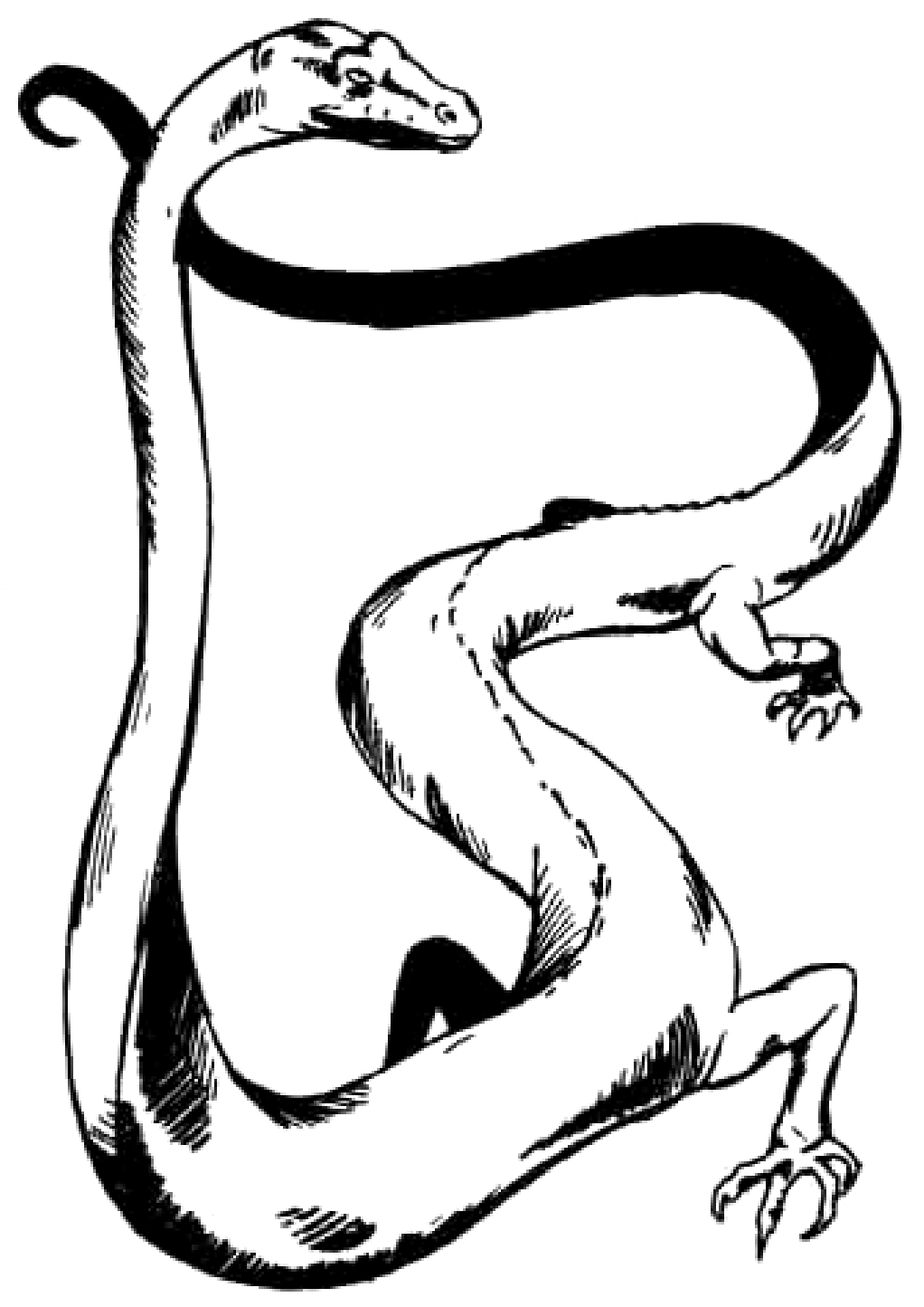 Tanystropheus | Forgotten Realms Wiki | Fandom