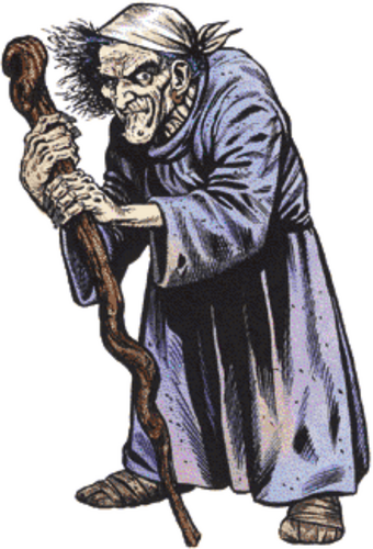 Hag | Forgotten Realms Wiki | Fandom