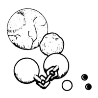 Bombard | Forgotten Realms Wiki | Fandom