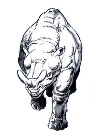 Titanothere | Forgotten Realms Wiki | Fandom