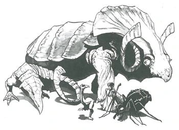 Erdlu | Forgotten Realms Wiki | Fandom