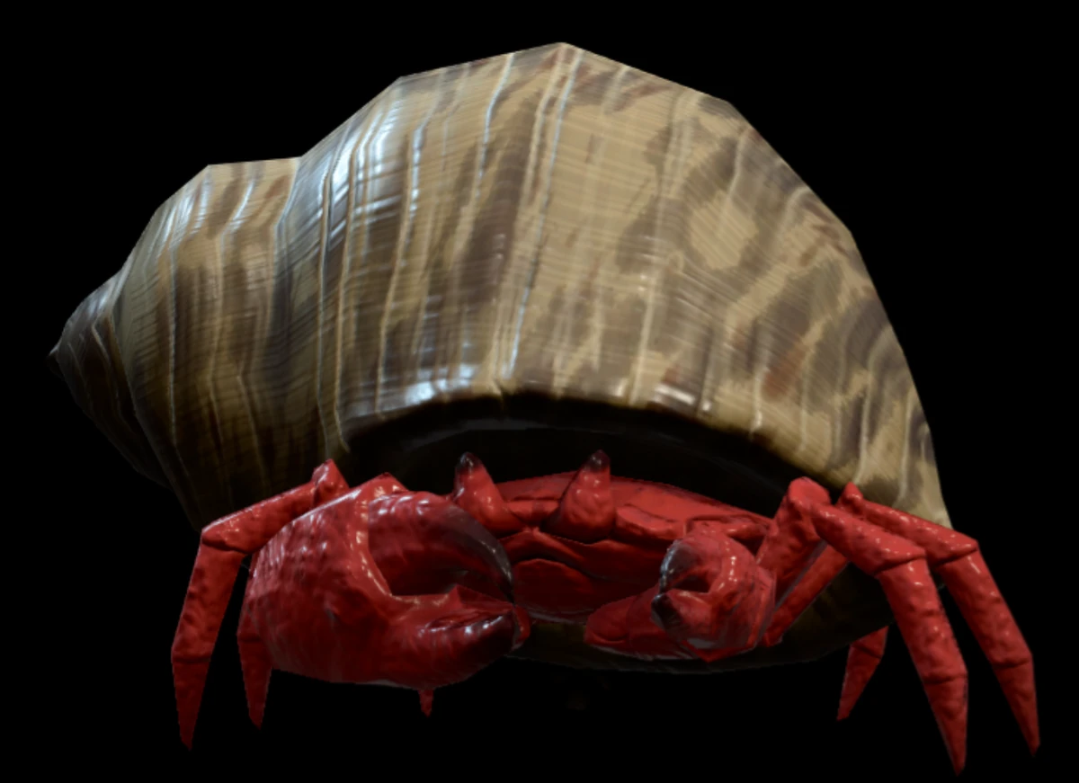 Hermit crab | Forgotten Realms Wiki | Fandom
