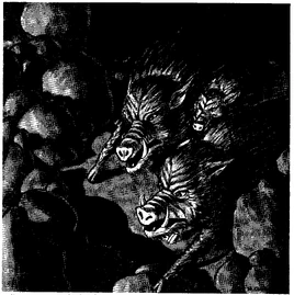 Boar | Forgotten Realms Wiki | Fandom