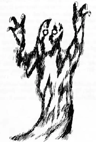 Drelb | Forgotten Realms Wiki | Fandom