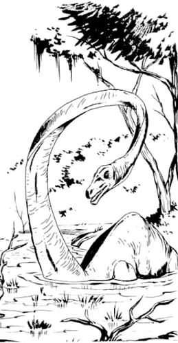 Mamenchisaurus | Forgotten Realms Wiki | Fandom