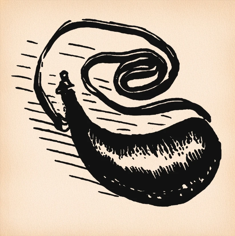 Wine | Forgotten Realms Wiki | Fandom