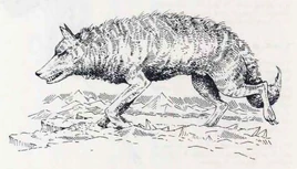 Winter wolf | Forgotten Realms Wiki | Fandom