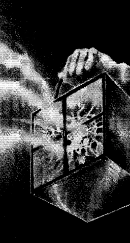 Krillus's Blazer | Forgotten Realms Wiki | Fandom