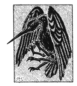 Gryph | Forgotten Realms Wiki | Fandom