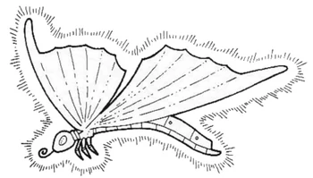 Radiant ship | Forgotten Realms Wiki | Fandom