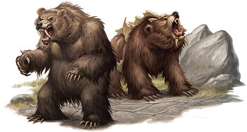 Bear | Forgotten Realms Wiki | Fandom