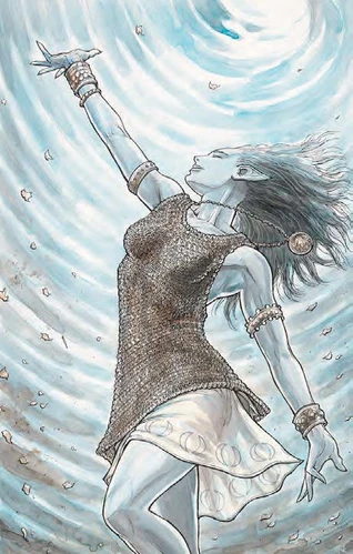 Windwalker (class) | Forgotten Realms Wiki | Fandom