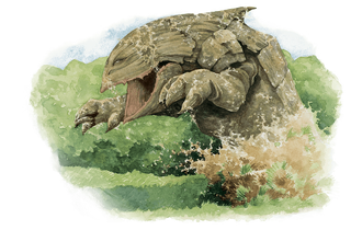 Bulette | Forgotten Realms Wiki | Fandom