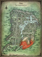 Omu | Forgotten Realms Wiki | Fandom