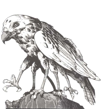 Zygraat | Forgotten Realms Wiki | Fandom
