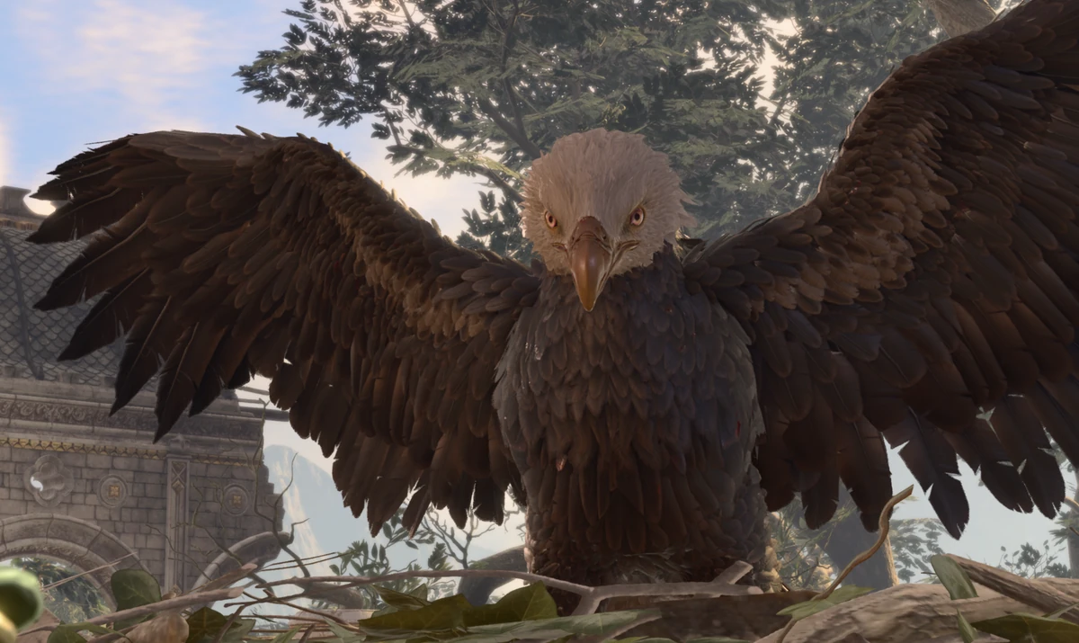 Xavier | Forgotten Realms Wiki | Fandom