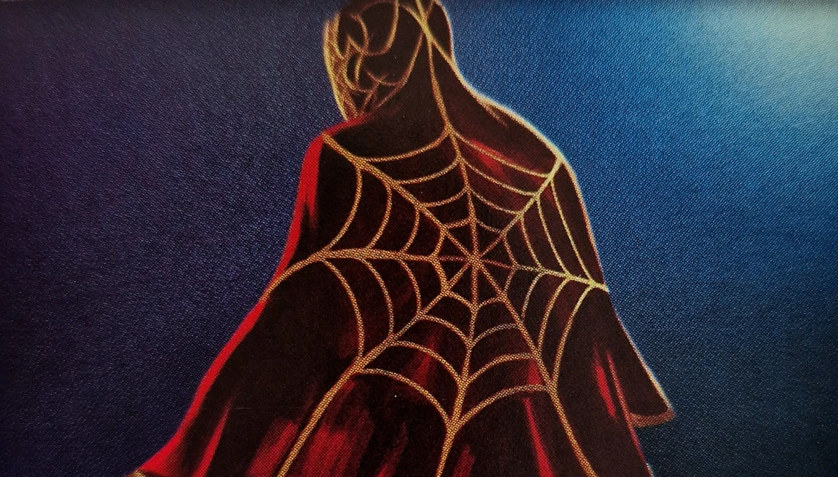 Spider cloak | Forgotten Realms Wiki | Fandom