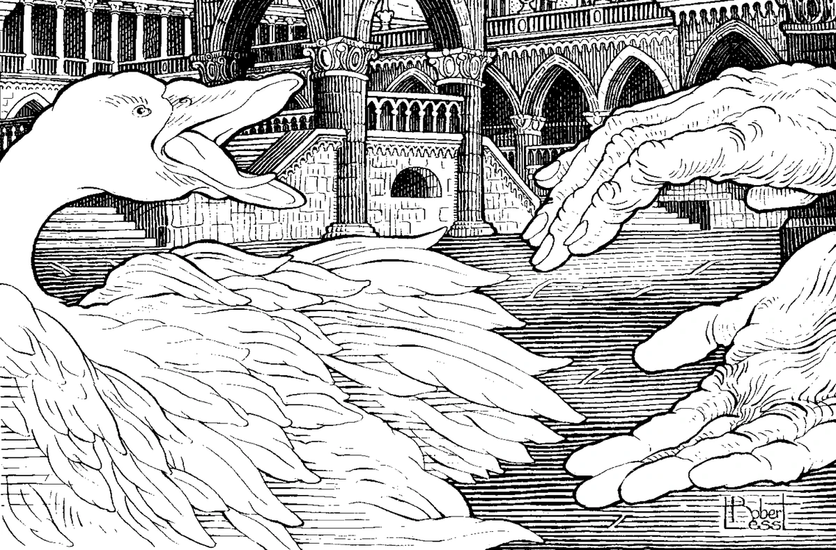 Category:Birds | Forgotten Realms Wiki | Fandom