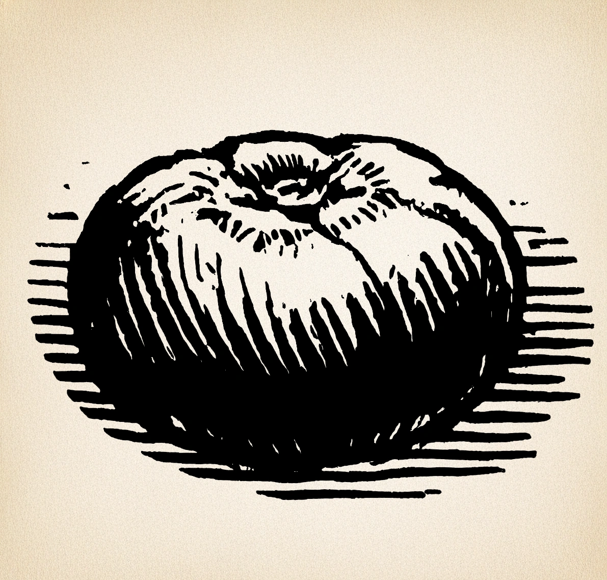 Tomato | Forgotten Realms Wiki | Fandom