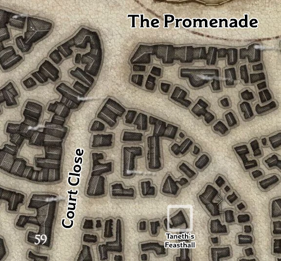 Taneth's Feasthall | Forgotten Realms Wiki | Fandom
