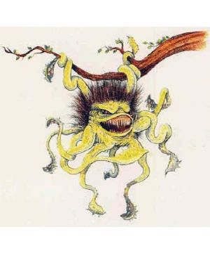 Decapus | Forgotten Realms Wiki | Fandom