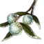 Mistletoe | Forgotten Realms Wiki | Fandom