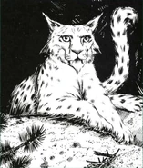 Cath shee | Forgotten Realms Wiki | Fandom