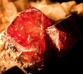 Jacinth | Forgotten Realms Wiki | Fandom