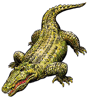 Crocodile | Forgotten Realms Wiki | Fandom