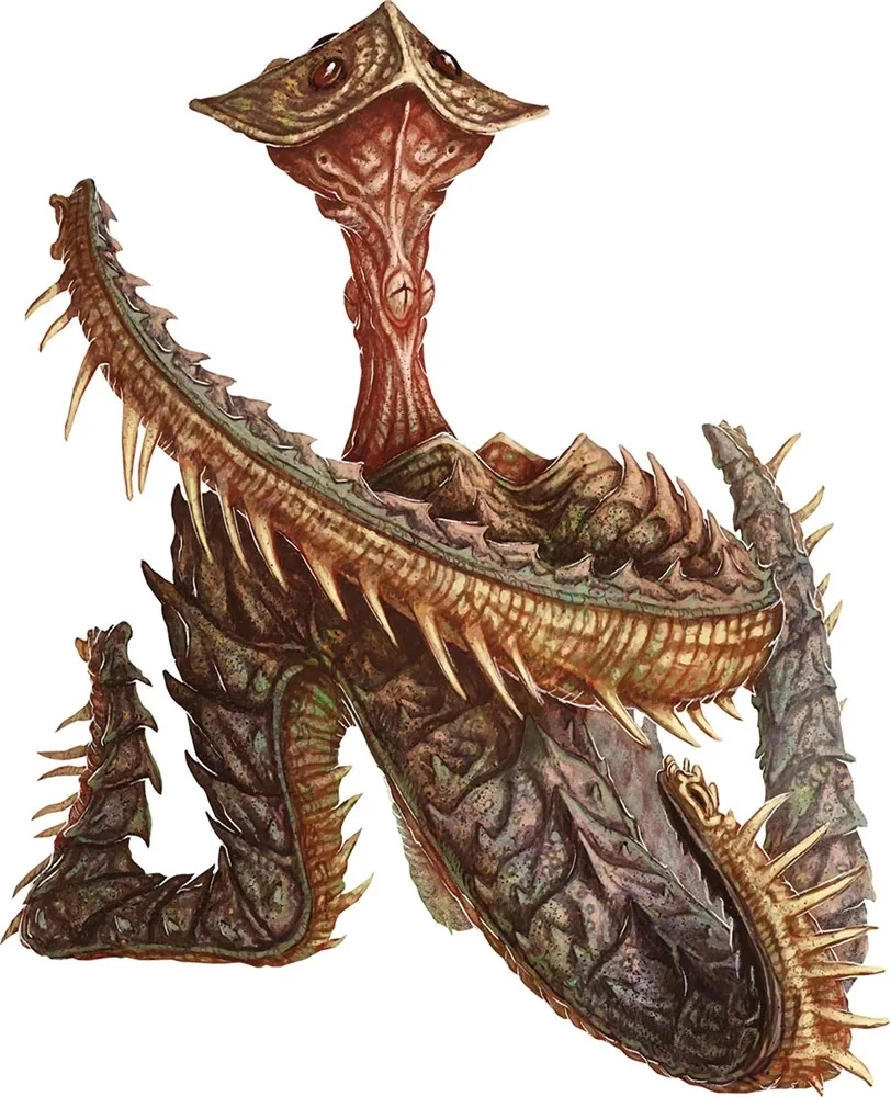 Aartuk | Forgotten Realms Wiki | Fandom