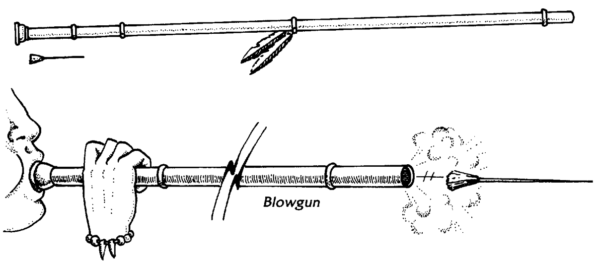 Blowpipe | Forgotten Realms Wiki | Fandom