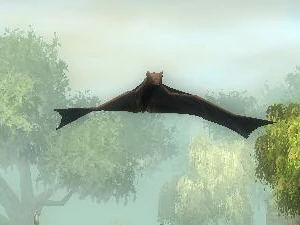 Volo (familiar) | Forgotten Realms Wiki | Fandom