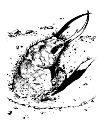 Giant ant lion | Forgotten Realms Wiki | Fandom