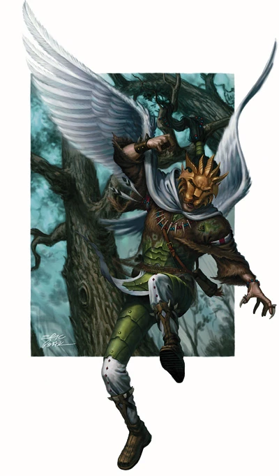 Totemist | Forgotten Realms Wiki | Fandom