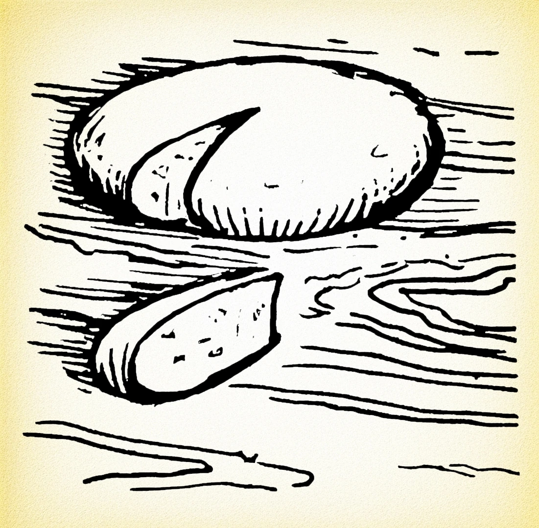 Chessentan Lotus Cheese | Forgotten Realms Wiki | Fandom