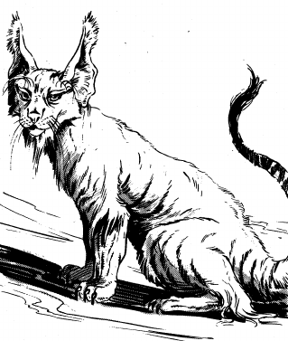 Sand cat | Forgotten Realms Wiki | Fandom
