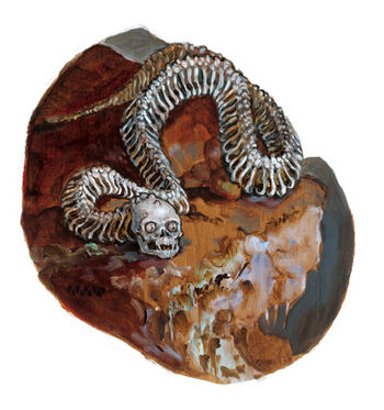 Necrophidius | Forgotten Realms Wiki | Fandom