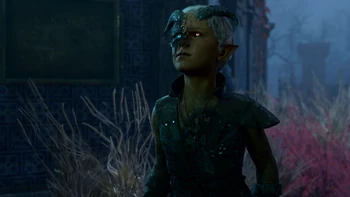 Thaniel | Forgotten Realms Wiki | Fandom