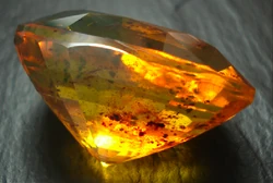 Amber | Forgotten Realms Wiki | Fandom