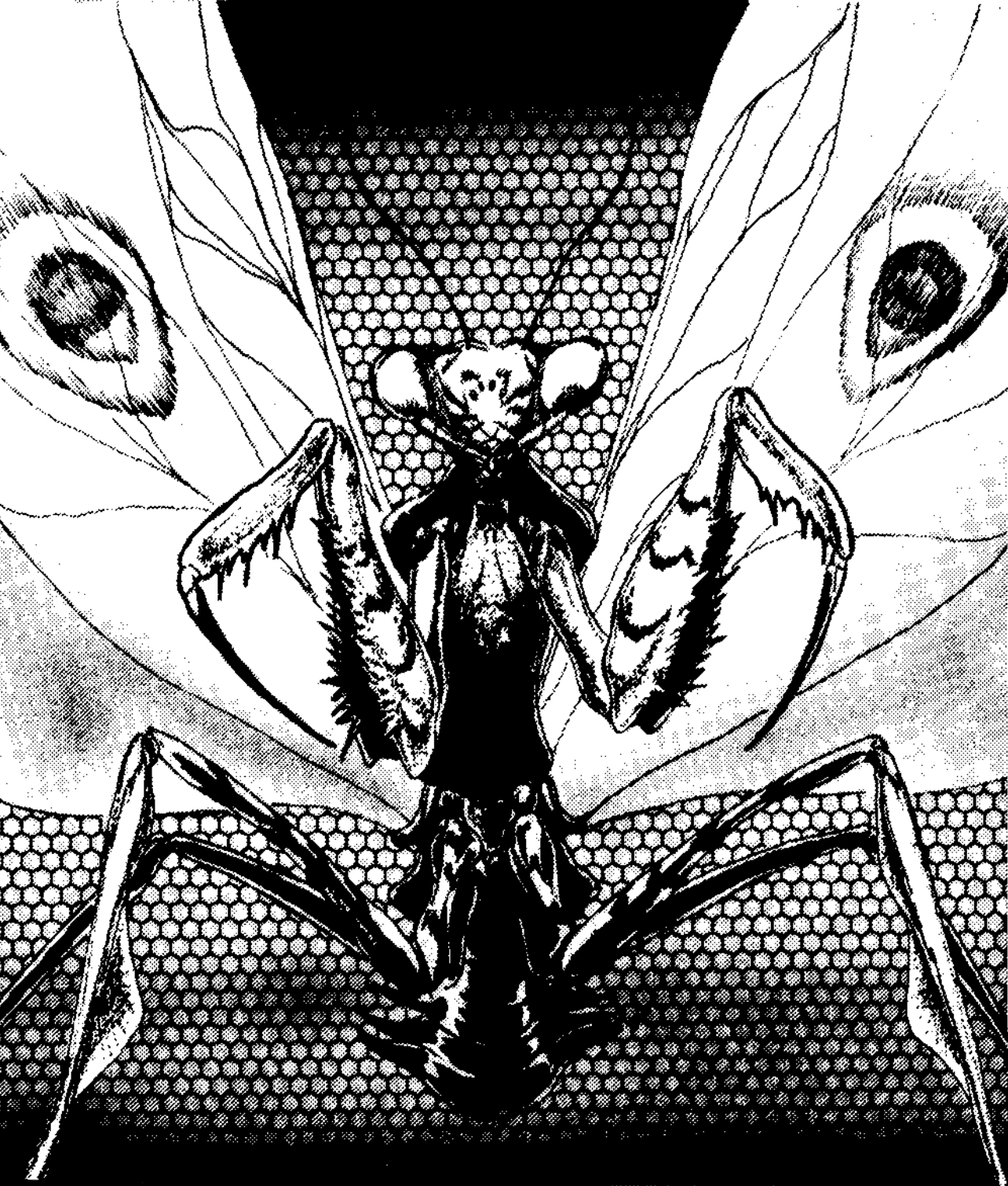 Giant praying mantis | Forgotten Realms Wiki | Fandom