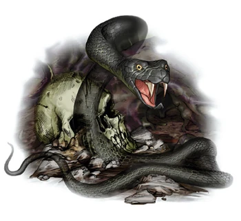 Shadow asp | Forgotten Realms Wiki | Fandom