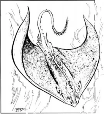 Cloud ray | Forgotten Realms Wiki | Fandom