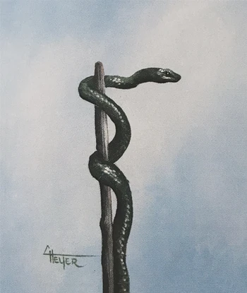 Staff of the adder | Forgotten Realms Wiki | Fandom